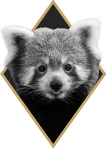 Safari Lodges | West Midlands Safari Park - Red Panda Cottage