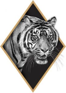 Safari Lodges | West Midlands Safari Park - Tiger Lodge