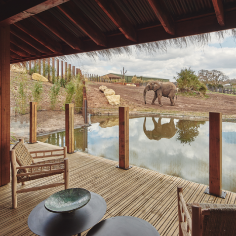 Safari Lodges - A Luxury Safari Experience | West Midland Safari Park